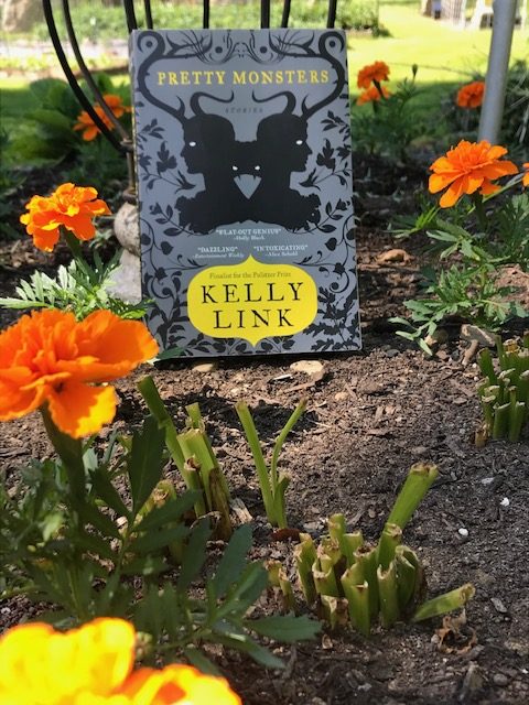 Library to offer activities based around book of short stories ‘Pretty ...